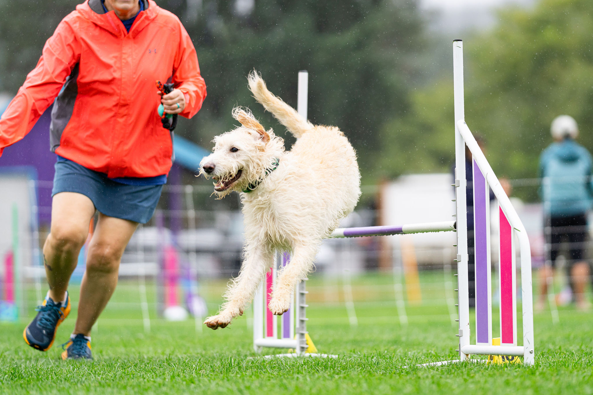 Training - Run Wild Dog Sports